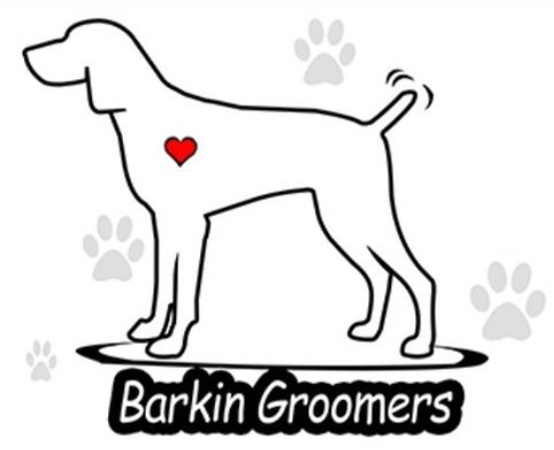 Dog & Cat Groomer in Encino, Los Angeles, California | Barkin Groomers ...